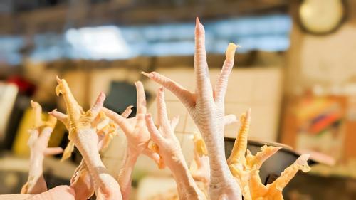 SA delicacy, chicken feet, to be exported to China | Bona Magazine