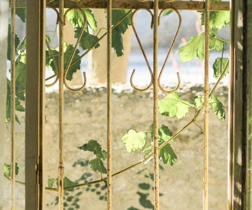5 Ways to prevent rust from burglar bars | Bona Magazine