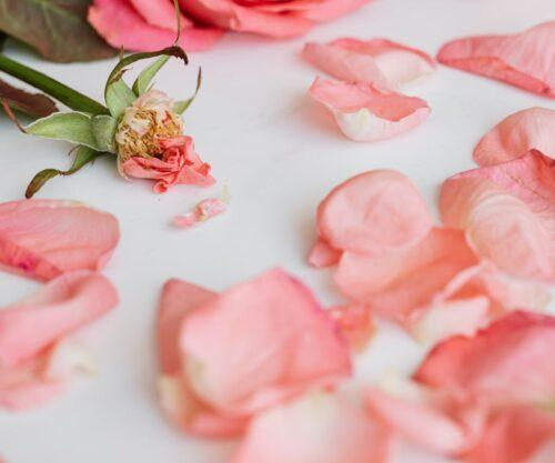 5 Creative ways to repurpose your dead flowers | Bona Magazine