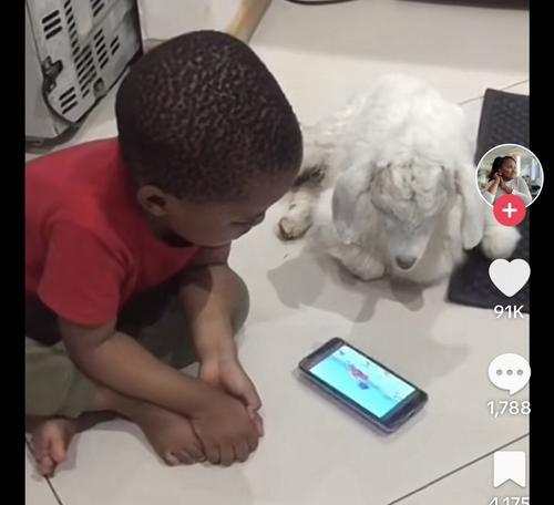 WATCH: Little boy watches cartoons with his pet goat | Bona Magazine