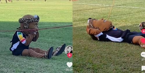 WATCH: UKZN mascot’s hilarious videos after losing a game | Bona Magazine