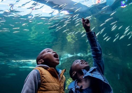 Fun outdoor adventures for kids this June holidays | Bona Magazine