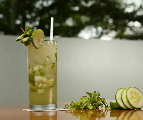 Veggies you can grow in to make a ‘juice garden’ | Bona Magazine