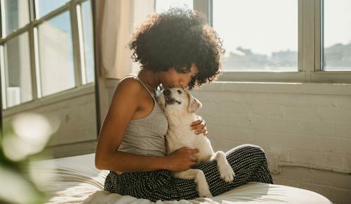 Here’s how to help your grieving pet | Bona Magazine