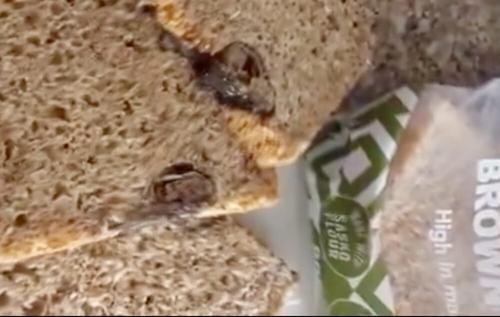 WATCH: Rat remains found in Sasko bread | Bona Magazine