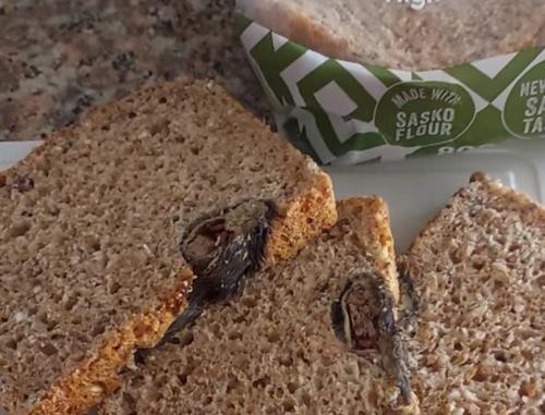 Sasko responds to viral video of bread with mouse | Bona Magazine