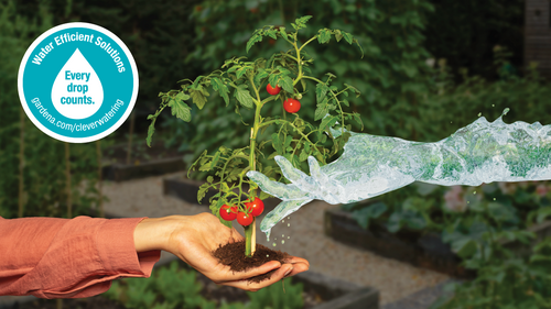 Water-saving tips for a sustainable garden | Bona Magazine