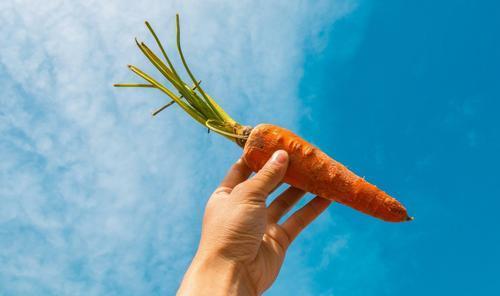Why you should be eating more carrots for better health | Bona Magazine