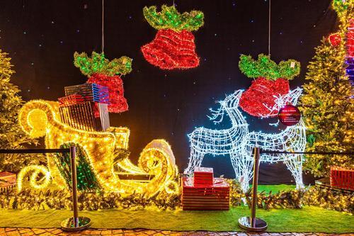 Montecasino unveils a dazzling festive season experience | Bona Magazine