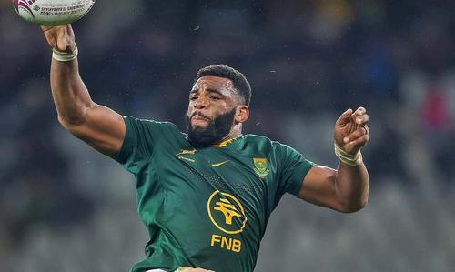 DRC-born Vincent Tshituka achieves childhood dream with the Springboks ...