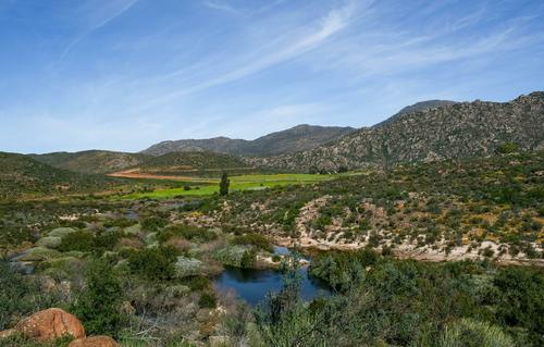 Winter Wonders: Why the Cederberg shines in the cold season