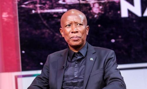 Julius Malema warns Daliwonga over alleged no show