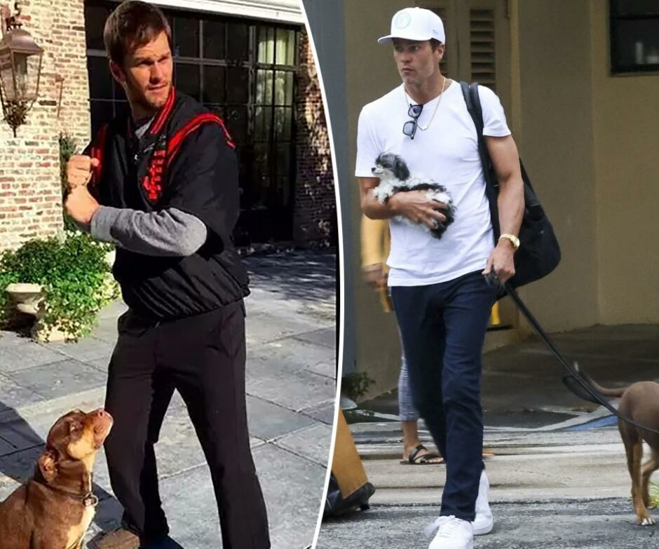 Tom Brady Reveals Cloned Dog, Sparks Pet Cloning Debate | Bona Magazine