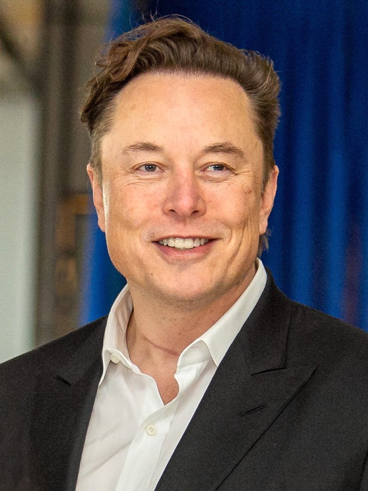 Elon Musk Deportation Petition Sparks Debate in Mzansi and the US ...