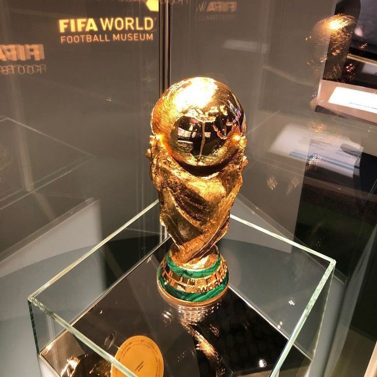World Cup trophy arrives in South Africa for national celebrations