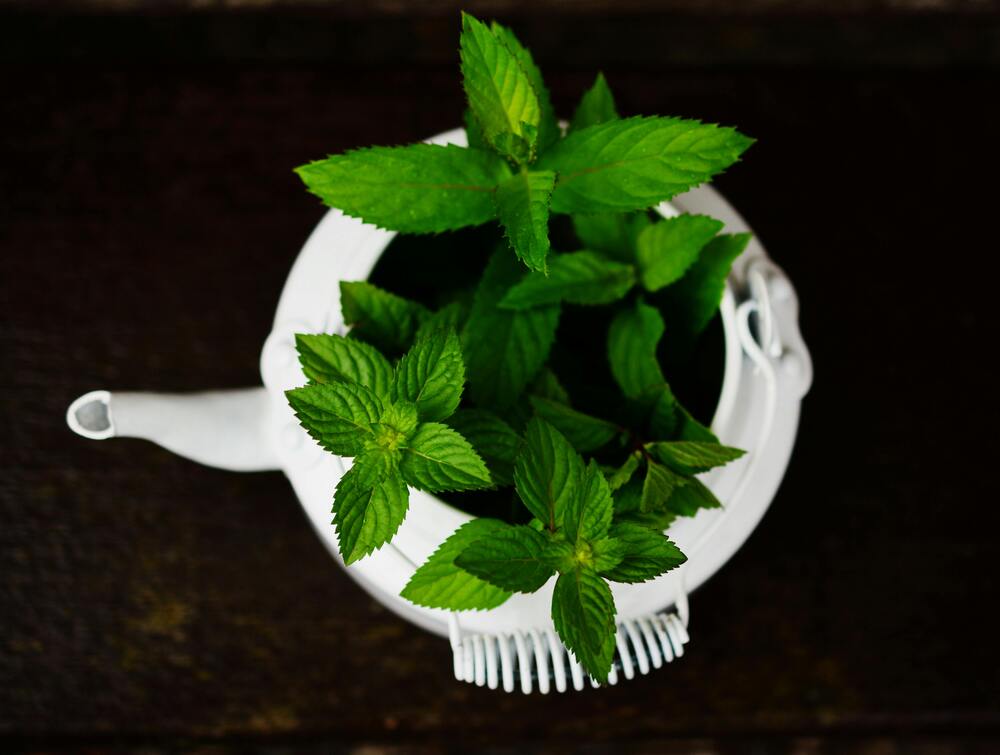 Why coriander tastes like soap for some people