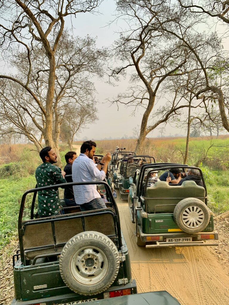 Things travellers overlook when going on a safari